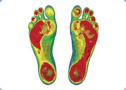 Chiropractor in Forked River | Digital Foot Scan / Custom Foot ...